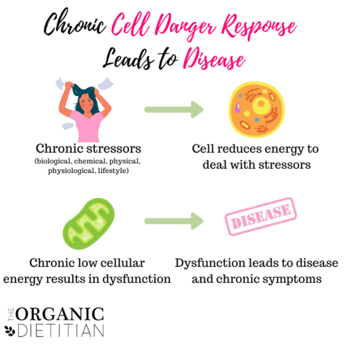 Cell Danger Response: Is it Keeping you Sick and Tired? - The Organic ...