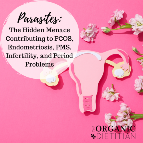 Parasites: The Hidden Menace Contributing to PCOS, Endometriosis, PMS ...