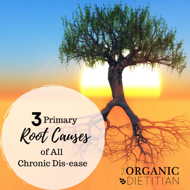 3 Primary Root Causes of All Chronic Disease - The Organic Dietitian